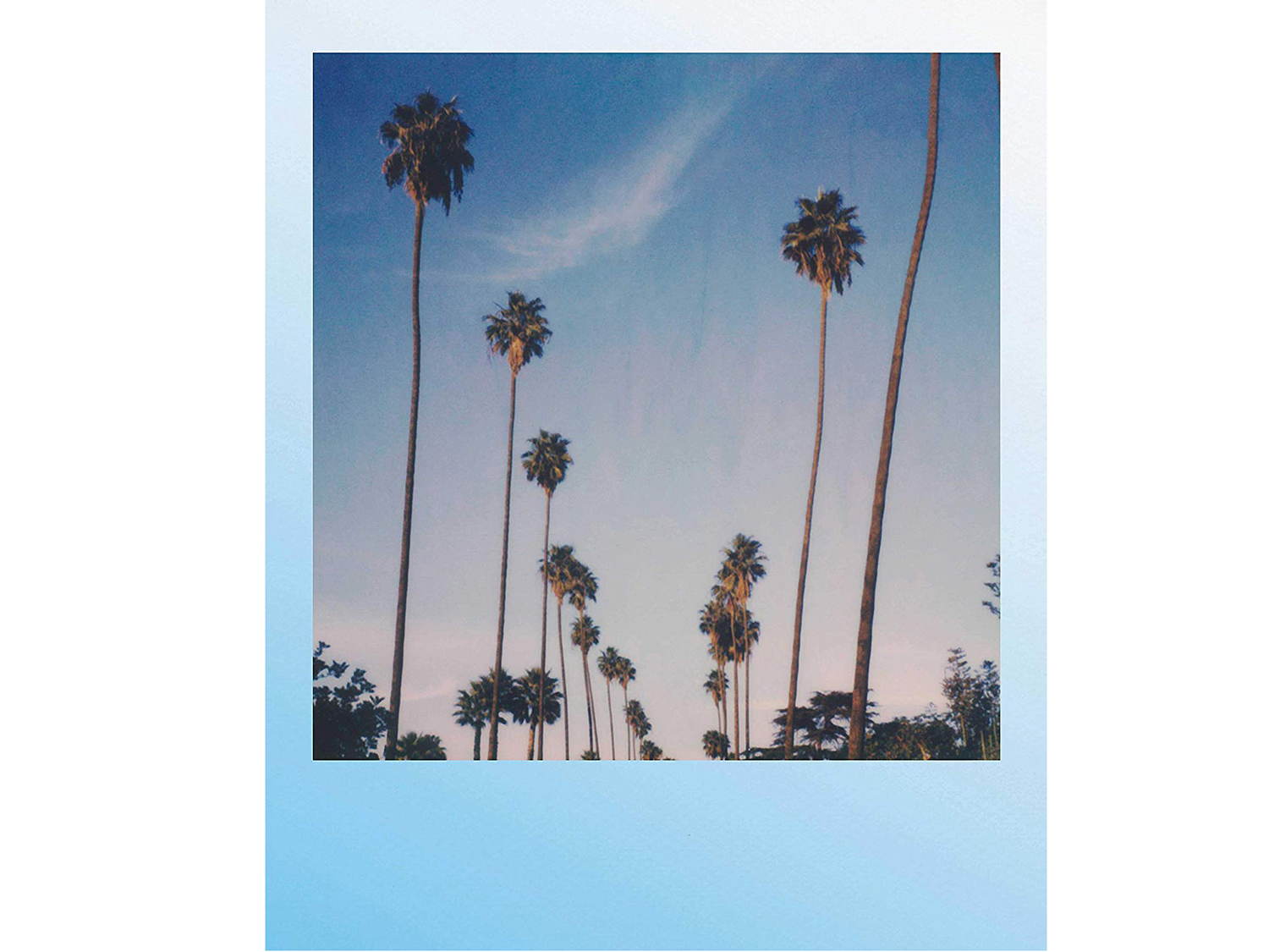 Polaroid Originals Color i-Type Film Summer Blue | Laptop.bg ...