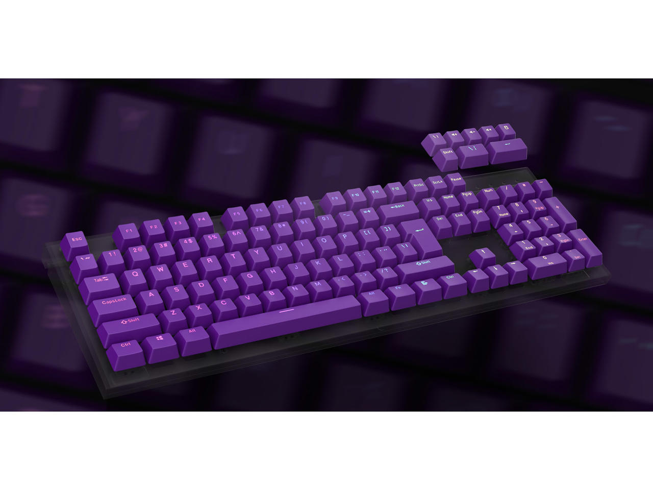 Genesis Lead 300 VIOLET DOUBLE SHOT | Laptop.bg - Технологията с теб